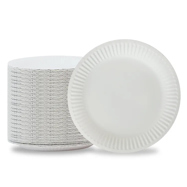 Eco friendly disposable paper plate