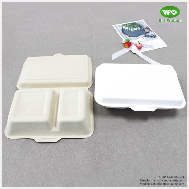 1000ml Sugarcane Pulp 2- Compartments Hinged Lid Lunch Box-Heavy-Duty ...