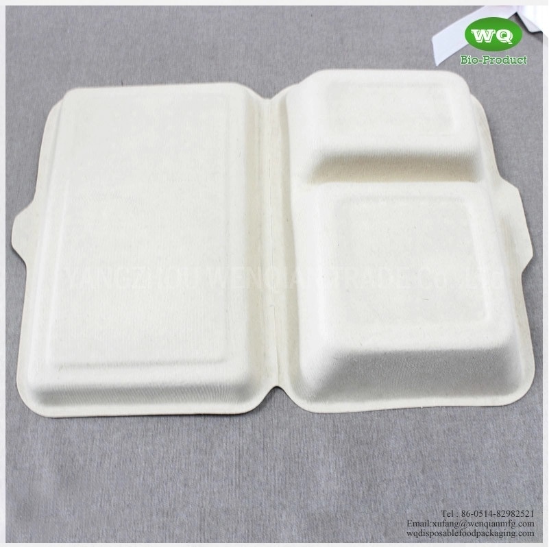 1000ml Sugarcane Pulp 2- Compartments Hinged Lid Lunch Box-Heavy-Duty ...