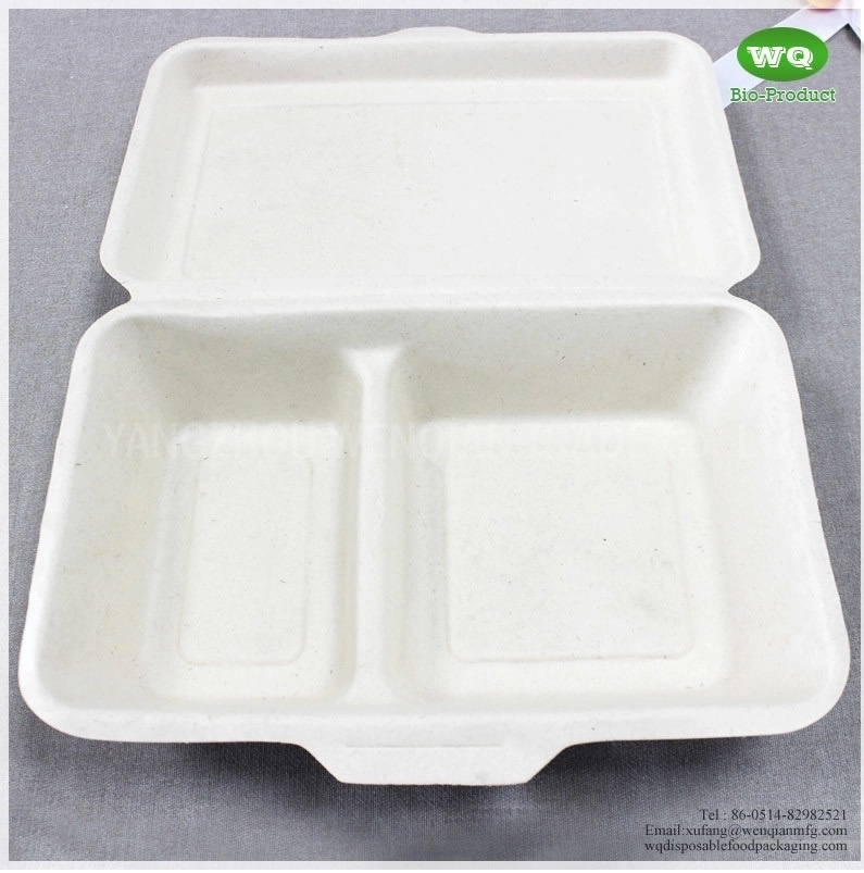 1000ml Sugarcane Pulp 2- Compartments Hinged Lid Lunch Box-Heavy-Duty ...