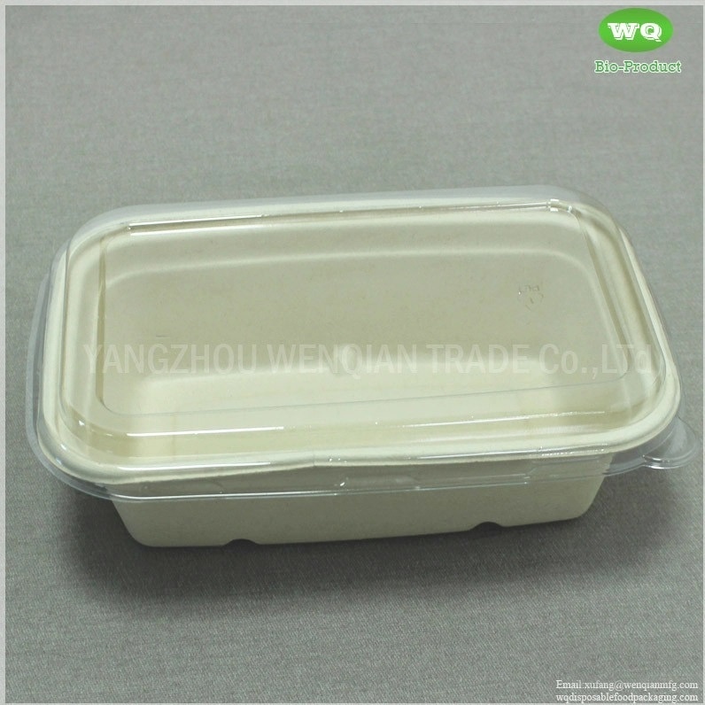 1250ml Biodegradable Unbleached Fiber Pulp Food Container With Lid ...