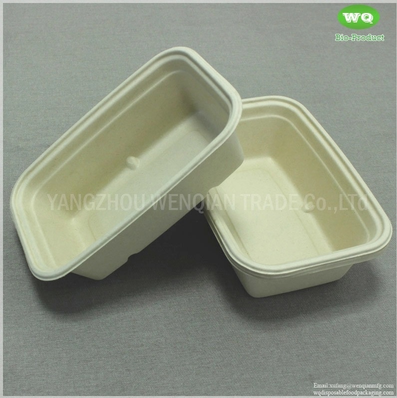 1250ml Biodegradable Unbleached Fiber Pulp Food Container With Lid ...